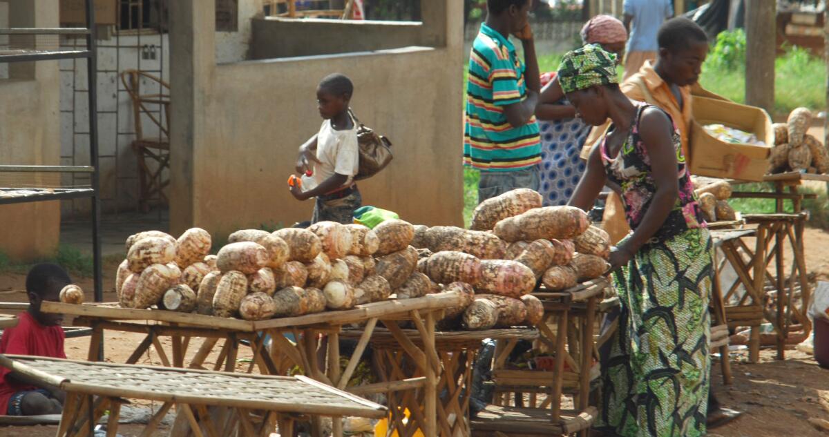 Small is Beautiful: A New Decade of Smallholder Farmers - Planet Aid, Inc.