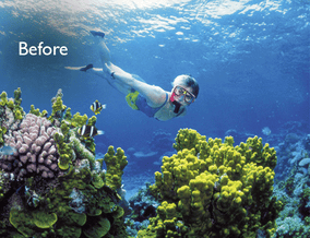 What Climate Change Looks Like (In 6 GIFs) - Planet Aid, Inc.