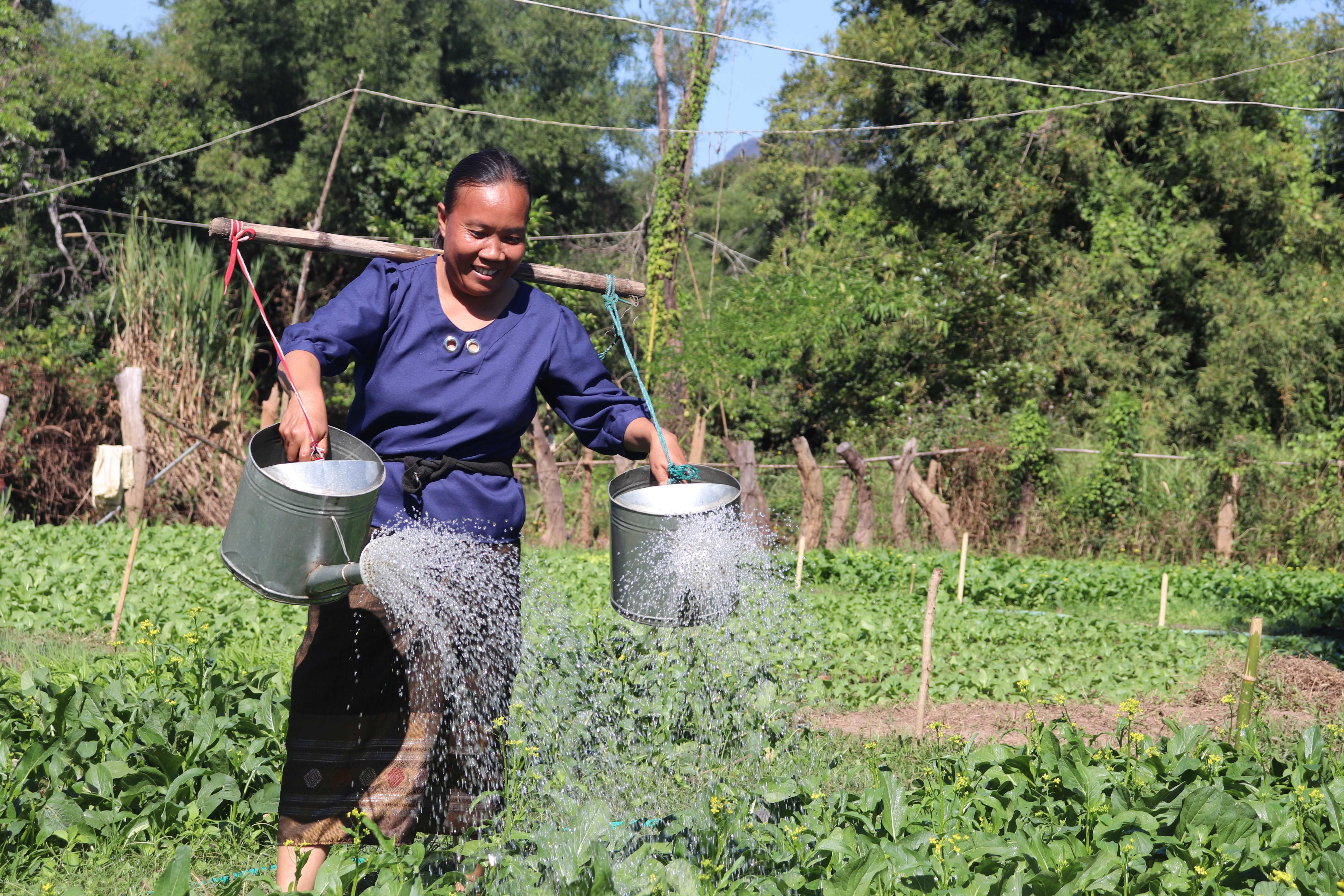 World Environment Day 2024 & Land Restoration