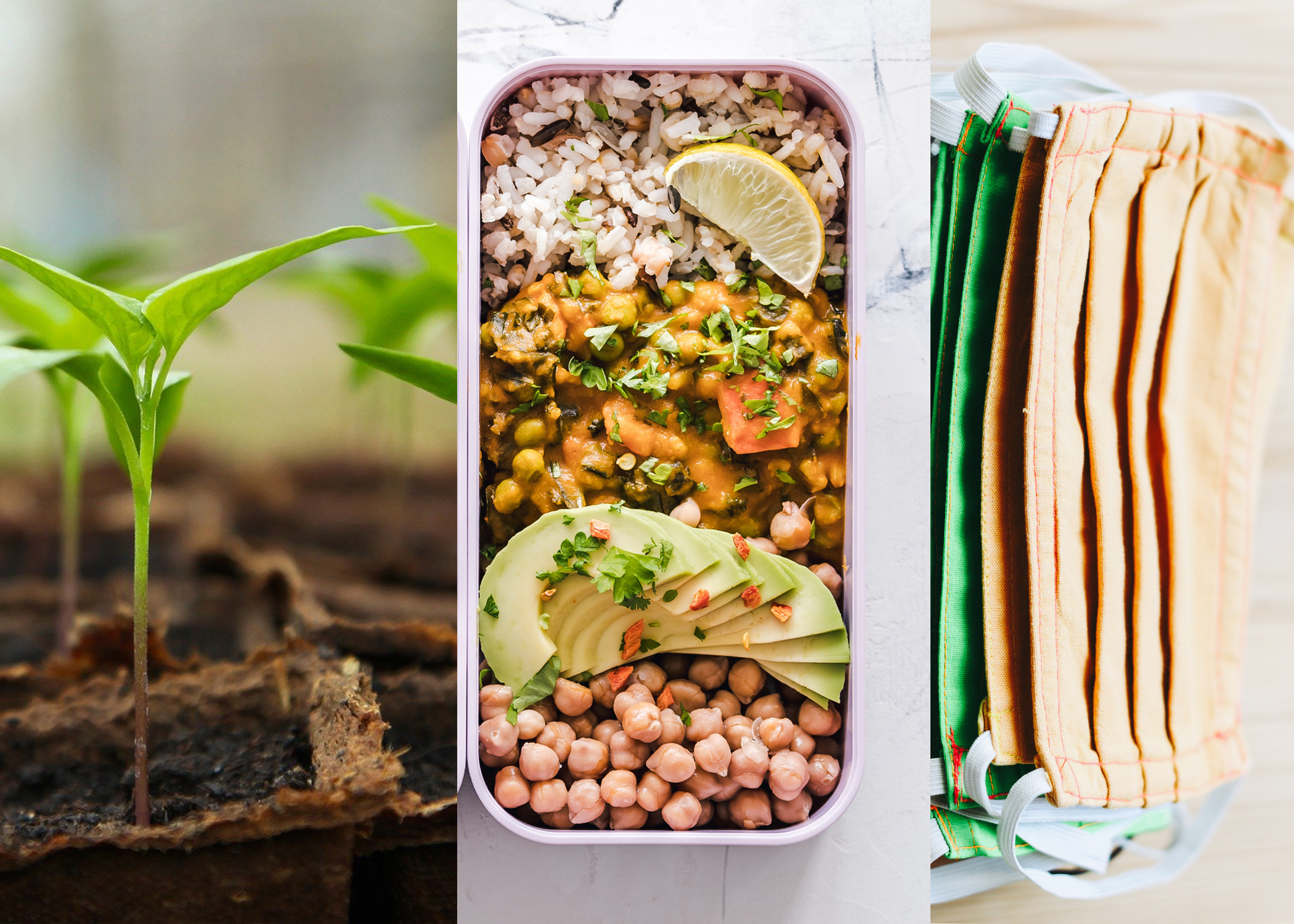 How to Live Sustainably During a Pandemic - Planet Aid, Inc.