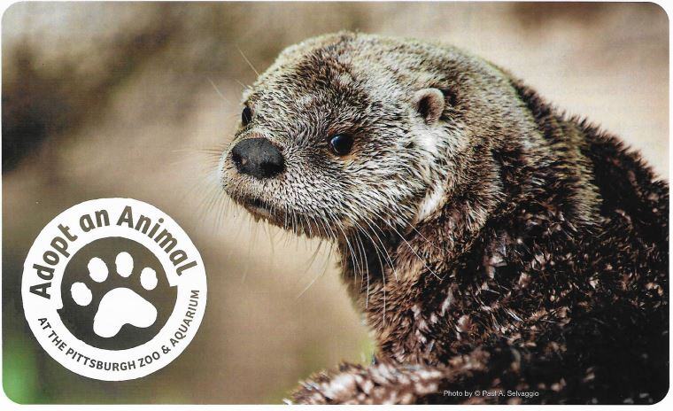 Planet Aid's Pittsburgh Facility Adopts Otter for Local Zoo